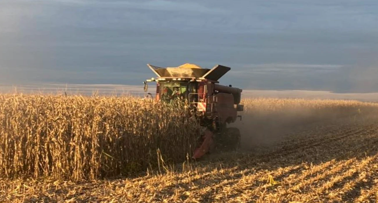 Субсидії для аграріїв прифронтових територій